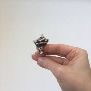 Vintage | Jewelry | Vintage Natural Shell Ring | Poshmark
